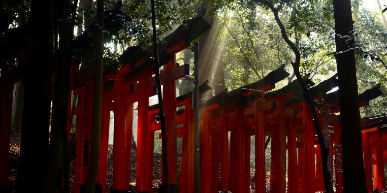 Senbon Torii đỏ rực ở đền Fushimi Inari | SONGHANTOURIST